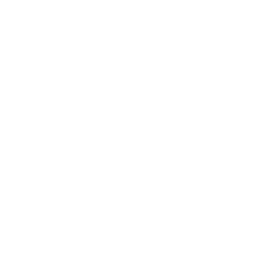 The Ice Rink - Holliday Park Foundation